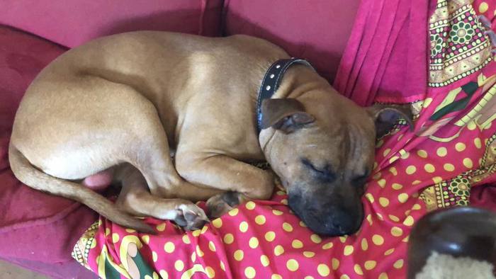 ULISES :: alcuadradoadopciones